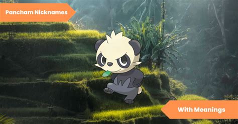 101 Pancham Nicknames For The Mean Panda Pokemon Lets Learn Slang