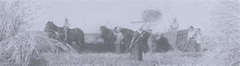 Museum Bessarabiendeutscher Verein E V