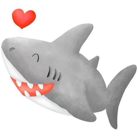 Cute Shark Png