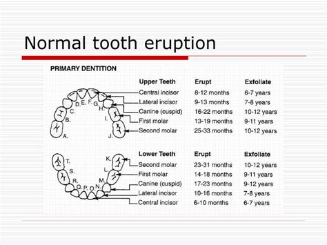 Ppt Oral Health Powerpoint Presentation Free Download Id249961
