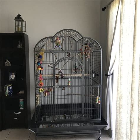 Victorian Top Extra Large Bird Cage Foter