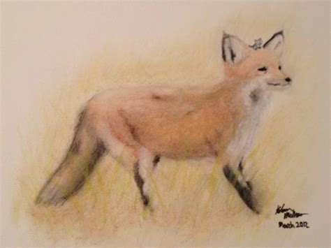 Discuss Everything About The Unwanteds Wiki Fandom