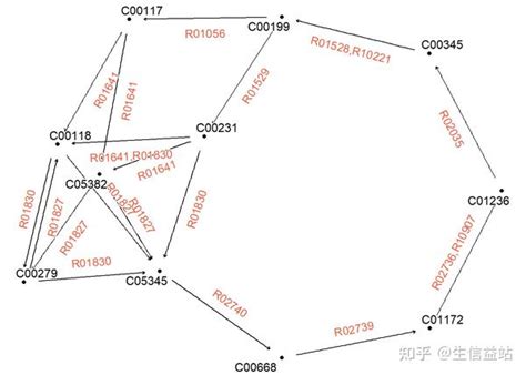 玩转KEGG 三 遥遥领先pathview ggkegg可视化KEGG通路模块与网络 知乎