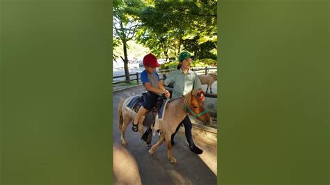 청도김씨 2018년 일본여행 17 Youtube