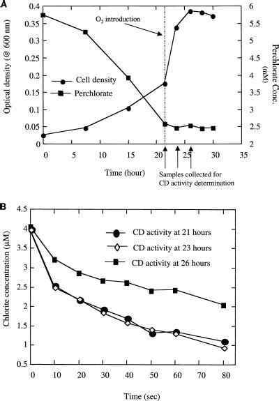 Environmental Factors That Control Microbial Perchlorate Reduction Pmc