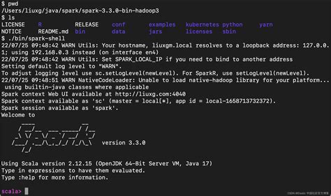 Elasticsearch：apache Spark 大数据集成elasticsearch Spark Csdn博客