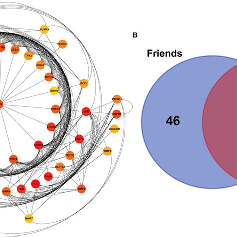 Degs Protein Protein Interaction Pip Network Complex Analysis Using