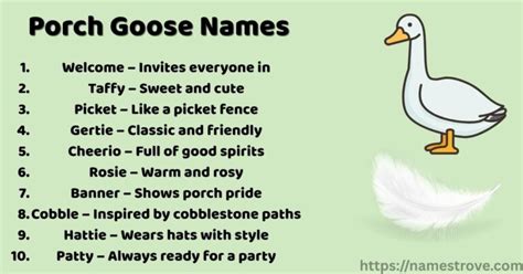Goose Names With Meaning 397 Best Ideas For 2025 Names Trove