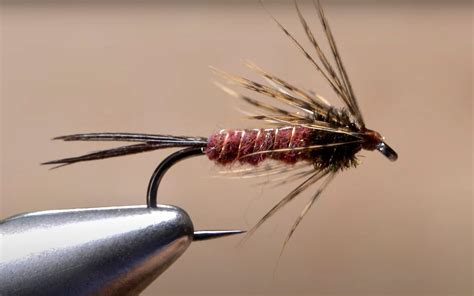 How To Tie The Isonychia Soft Hackle Midcurrent