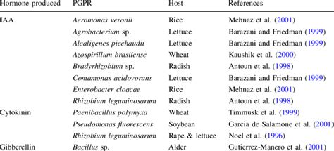 Efficient Pgpr Strains As Phytohormone Producer In Numbers Of Plants