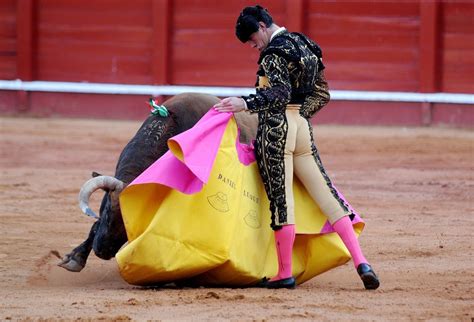 Daniel Luque La Presión De Un Torero Grande Que Nunca Fue Niño En 2025