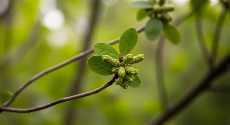 Hormonal Effects → News → Sustainability