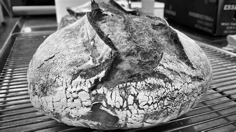 Hard By Michael Chaffin Gtco