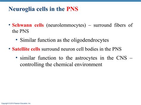 Cns Histology And Anatomy Ppt Brain And Nervous System Disorders Diseases And Conditions
