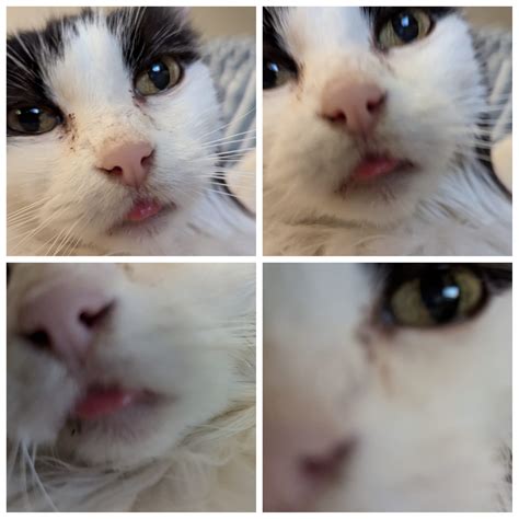 Photo Posted By Andrea Emmes Aemmesnarrator