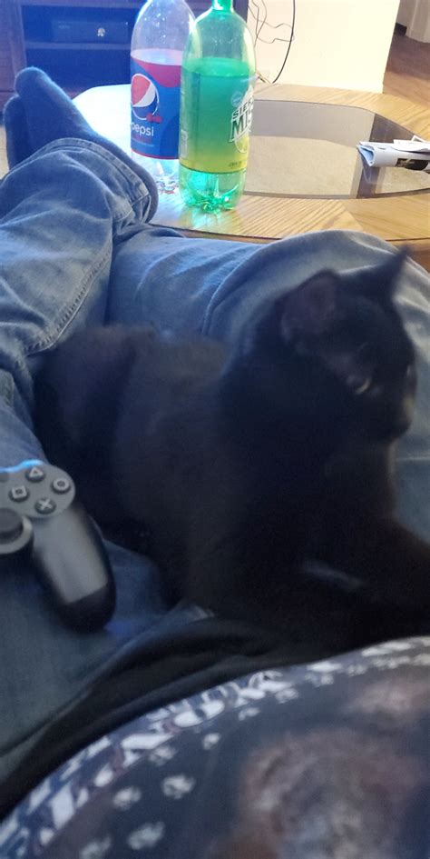 My Gaming Companion R Gaymers