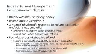 Obstructive Uropathy Ppt
