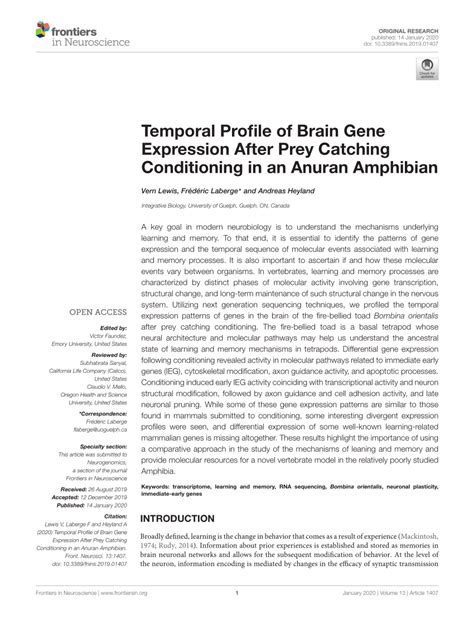 Pdf Temporal Profile Of Brain Gene Expression After Prey Catching