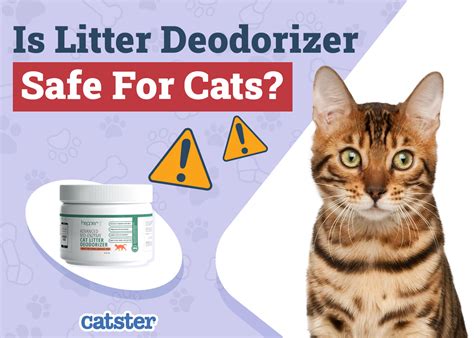 Is Litter Deodorizer Safe For My Cat Vet Approved Facts And Sanitation