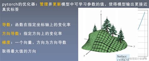 Pytorch优化器原理与应用：sgd、adam、rmsprop详解 Csdn博客