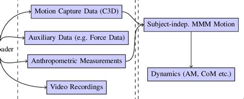 Data Types And Data Flow In The Motion Database Download Scientific