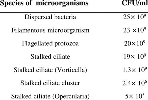Species Of Microorganisms Identified In Live Sludge Download
