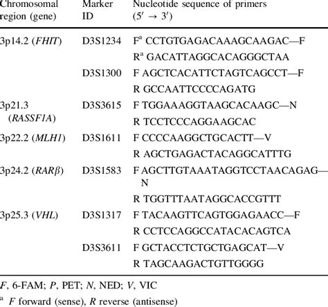 The Chromosomal Localization Regiongene Of The Micro Satellite