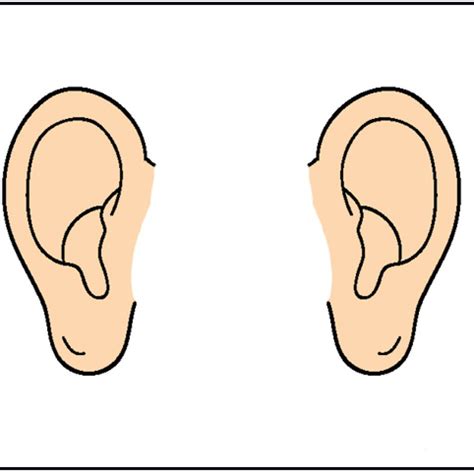 Ear Pic Clip Art At Michiko Durbin Blog
