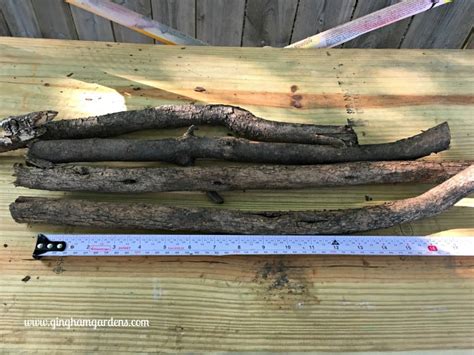 Easy DIY Garden Decor Using Tree Branches Gingham Gardens