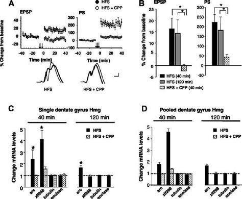 Nmdar Dependent Induction Of Ltp At Medial Perforant Path Granule Download Scientific Diagram
