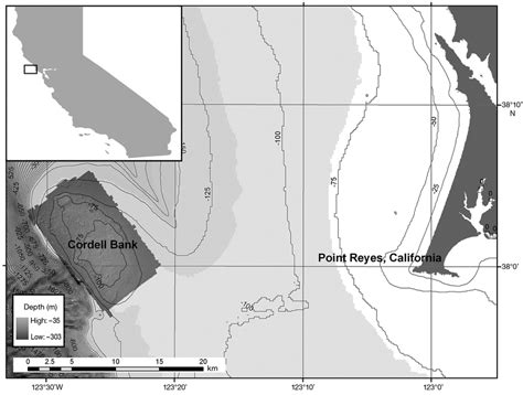 Digital Elevation Model Of Cordell Bank In Relation To Point Reyes
