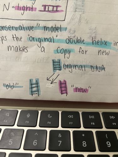 Bio Unit 4 Flashcards Quizlet