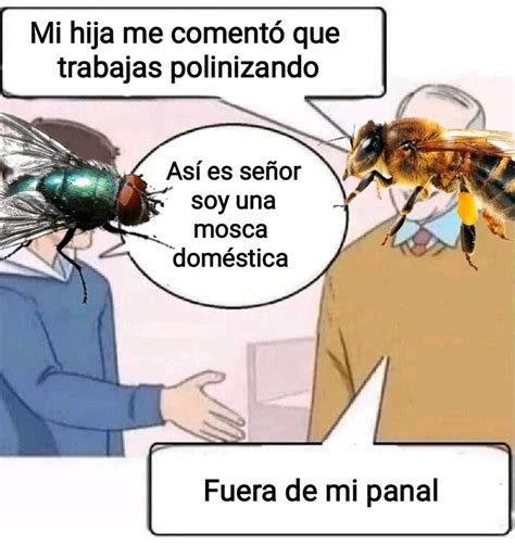 Top Memes De Abejas En Español Memedroid