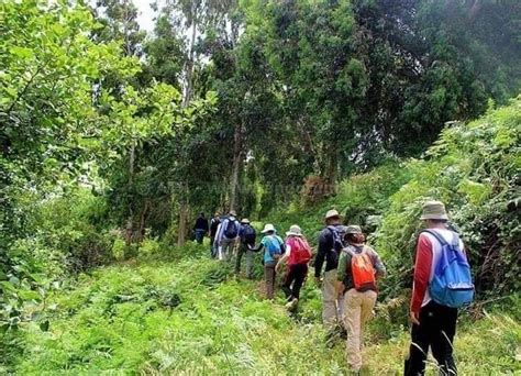 Mooja Production Moojaproductionofficial • Instagram Photos And Videos