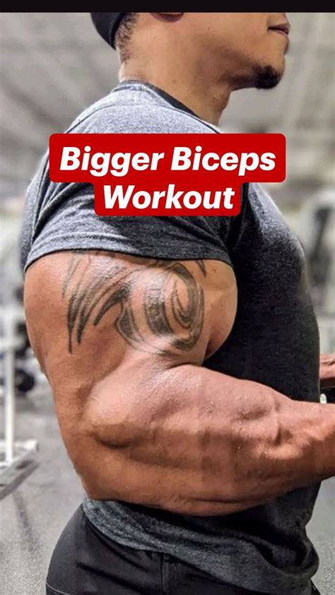 Bigger Biceps Workout Biceps Workout Big Biceps Workout