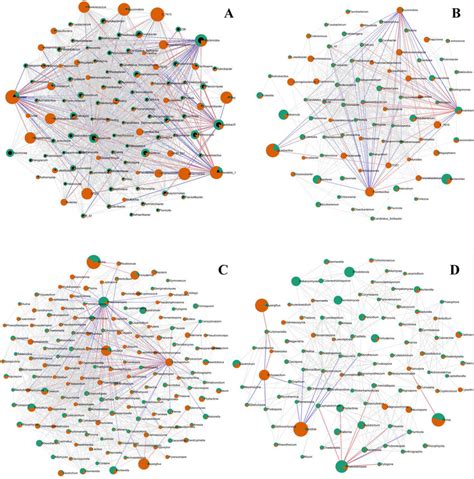 Network Analysis In Bacteria And Fungi In Seed And Leaf Microbiome Of