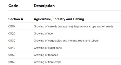 Understanding Sic Codes What They Are And How To Choose Yours