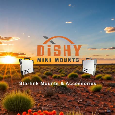 Starlink Mini Cables And 12v Adapters Dishy Mini Mounts