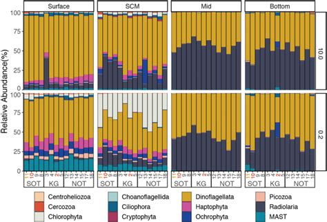 Relative Abundance Of Major Protist Groups In Size Fractionated Samples