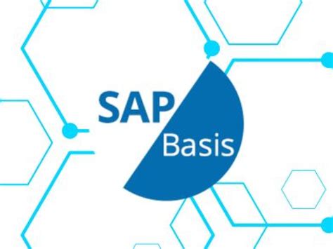 Sap Basis Certification Training Course Online 100 Job Assistance