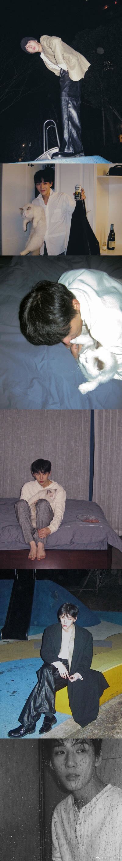 王安宇 高清图片，堆糖，美图壁纸兴趣社区