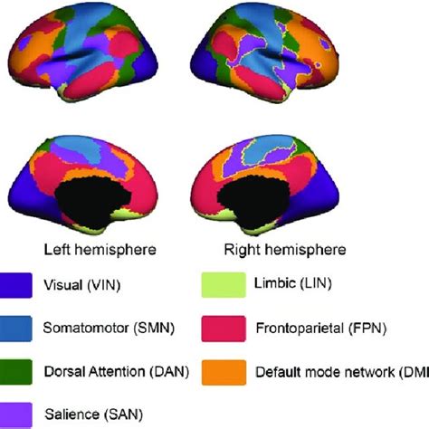 seven large scale functional networks defined by yeo s atlas the whole download scientific