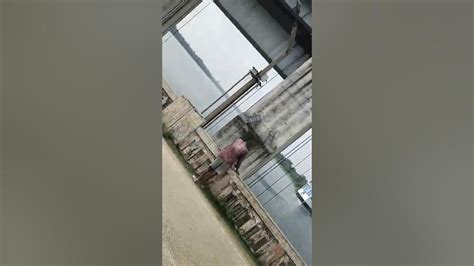 Kota Baragg Dam Youtube