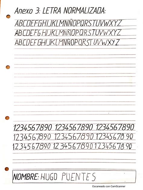 Letra Normalizada Pdf
