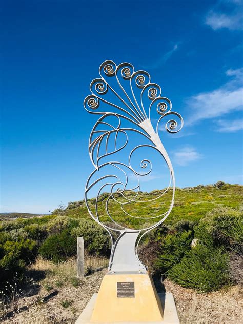 Shell And Freds Shell And Freds Excellent Adventure