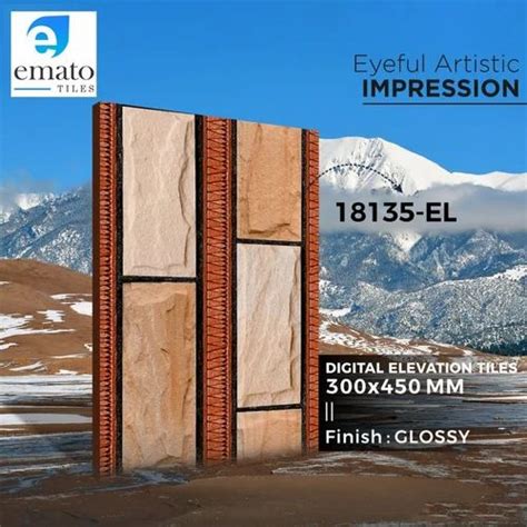 Multicolor Ceramic Mosaic Elevation Wall Tile Tile Size 2 X 2 Feet At