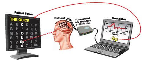 Table 1 From Rapid Communication With A “p300” Matrix Speller Using Electrocorticographic