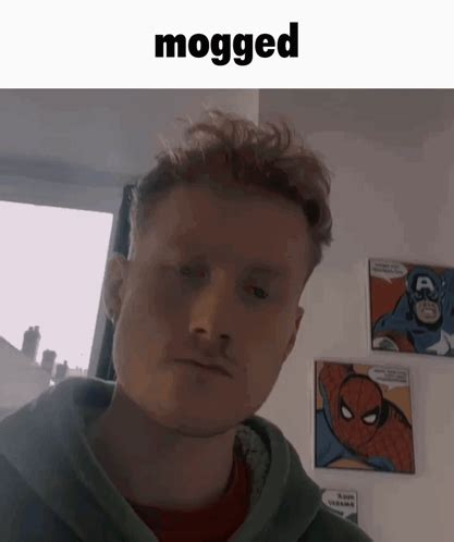Mogged Mogged Caption  Mogged Mogged Caption Caption Discover