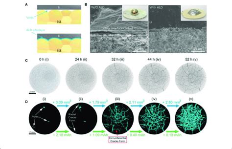 Interface Engineering For Solid State Electrolytes A Schematic Download Scientific Diagram