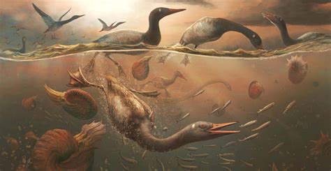 New Early Bird Species Revealed By Fossils Unearthed In China Natural